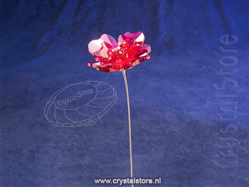 Swarovski Crystal | Garden Tales Rose (5557800)